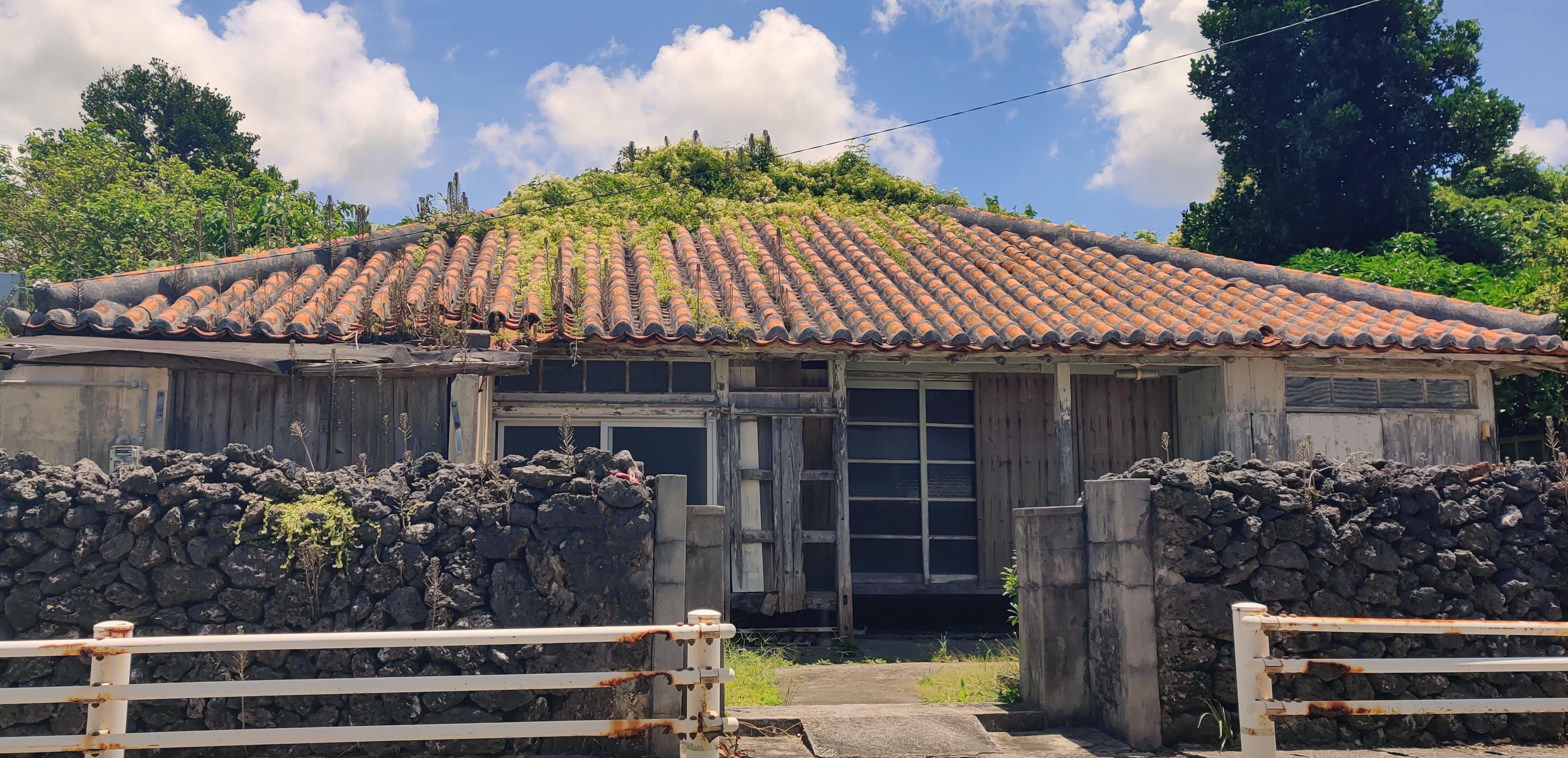 Old Okinawan house with furry roof. - Lonely Japan
