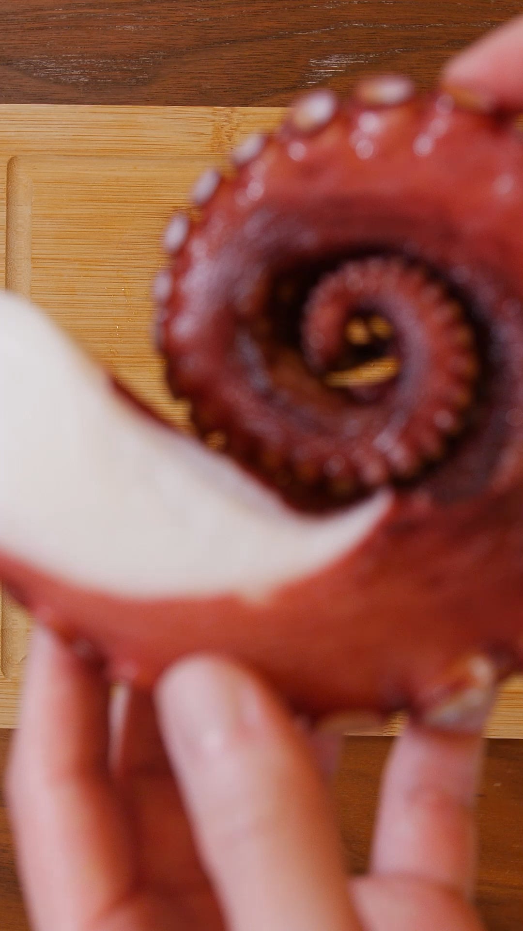 Sushi at home: Octopus (tako) - Lonely Japan