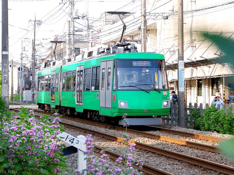 Tokyo Day Trip: Rose Spotting on the Toden Arakawa Streetcar Line (May ...
