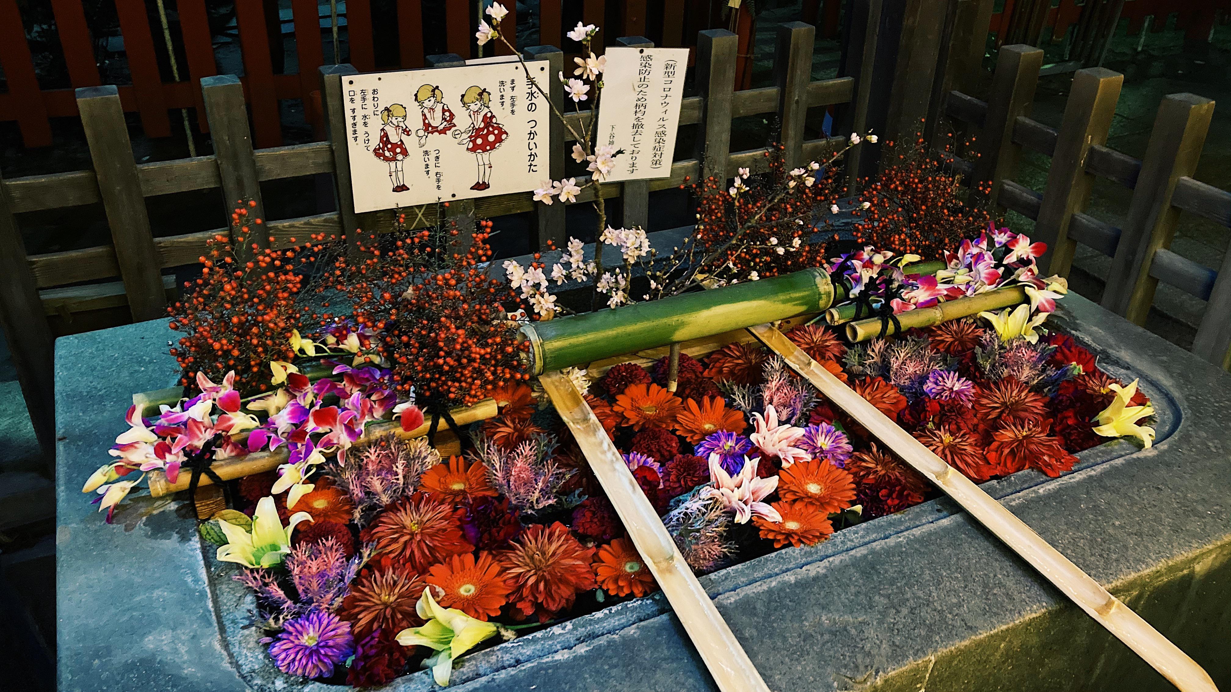 Temizuya, where you have to wash your hands before entering shrine ...