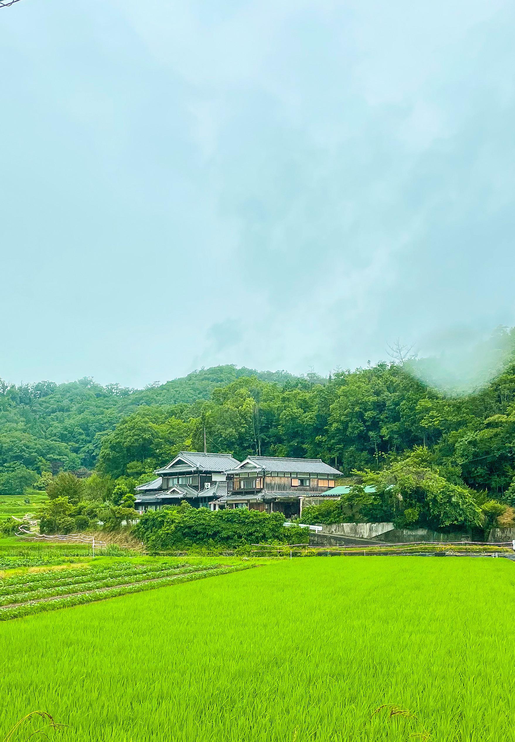 Sanda, Hyōgo Prefecture - Lonely Japan