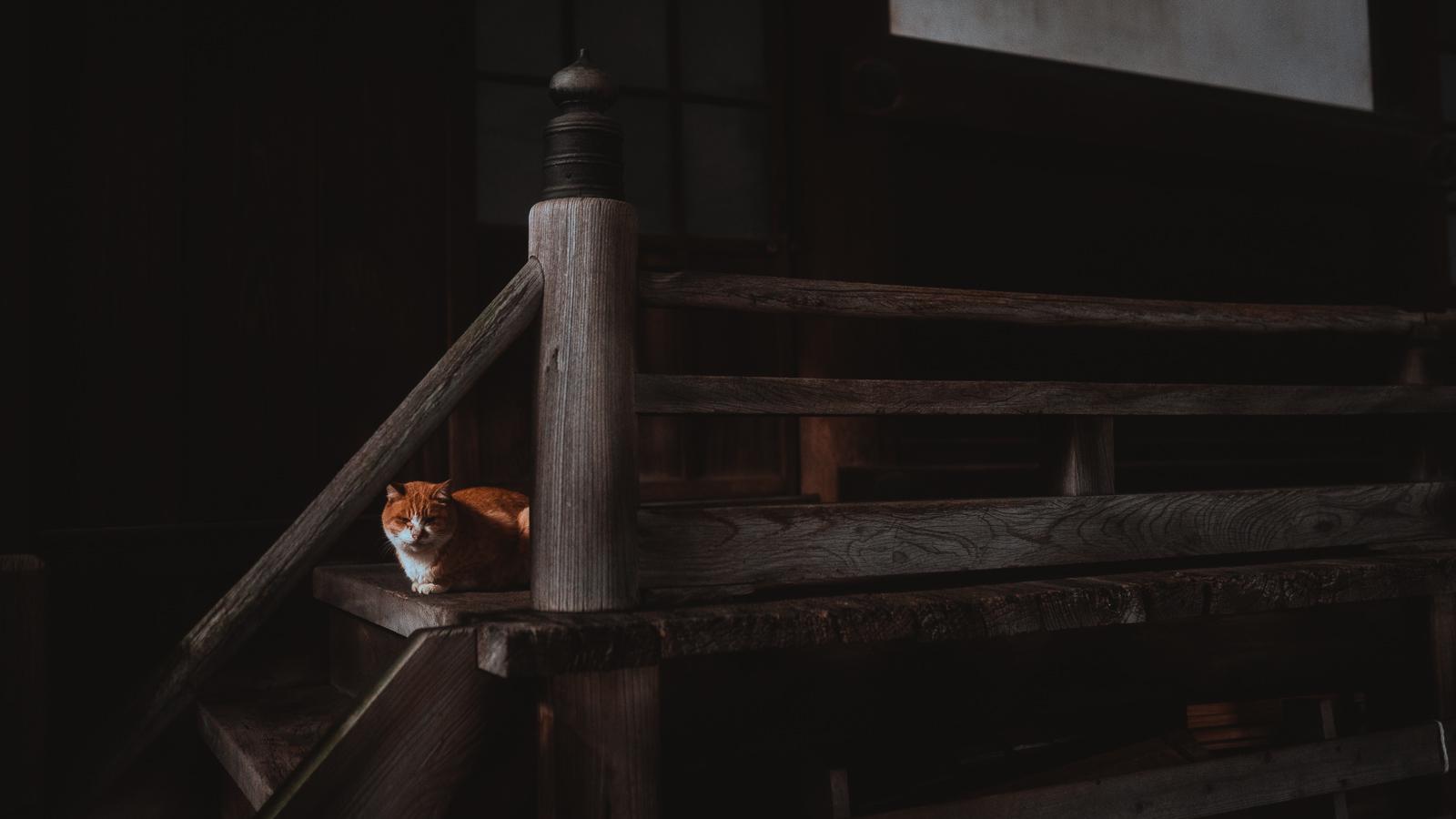3am temple security guard - Lonely Japan
