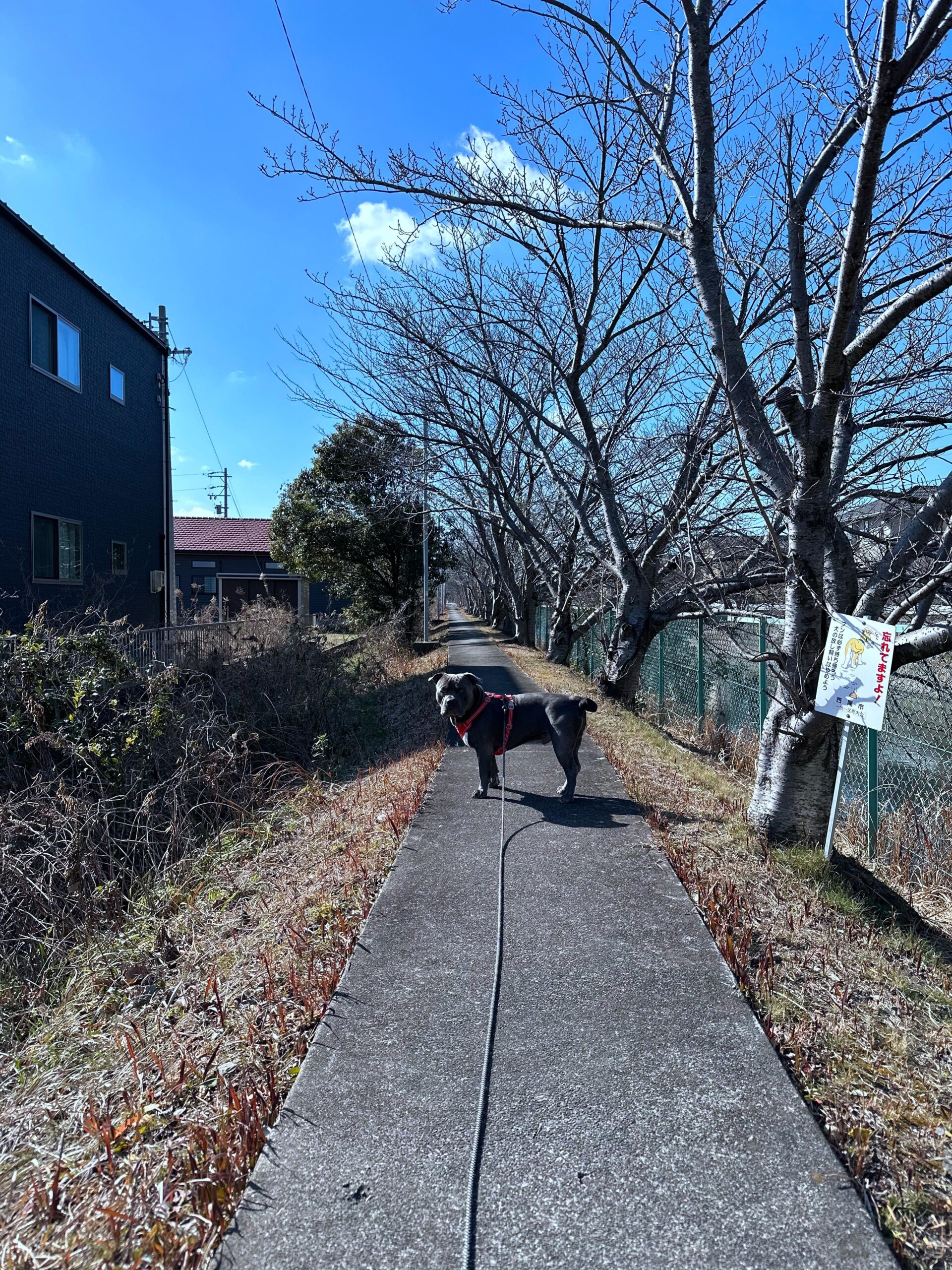 Rural area in 愛知県 - Lonely Japan