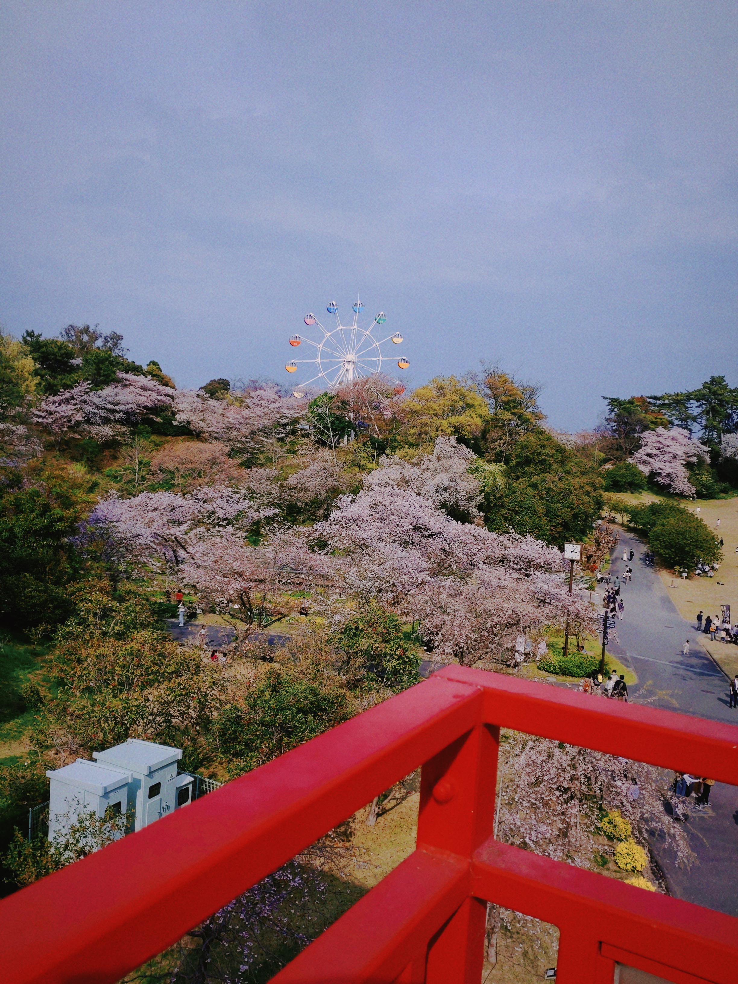Hamamatsu 🩷🌸 - Lonely Japan