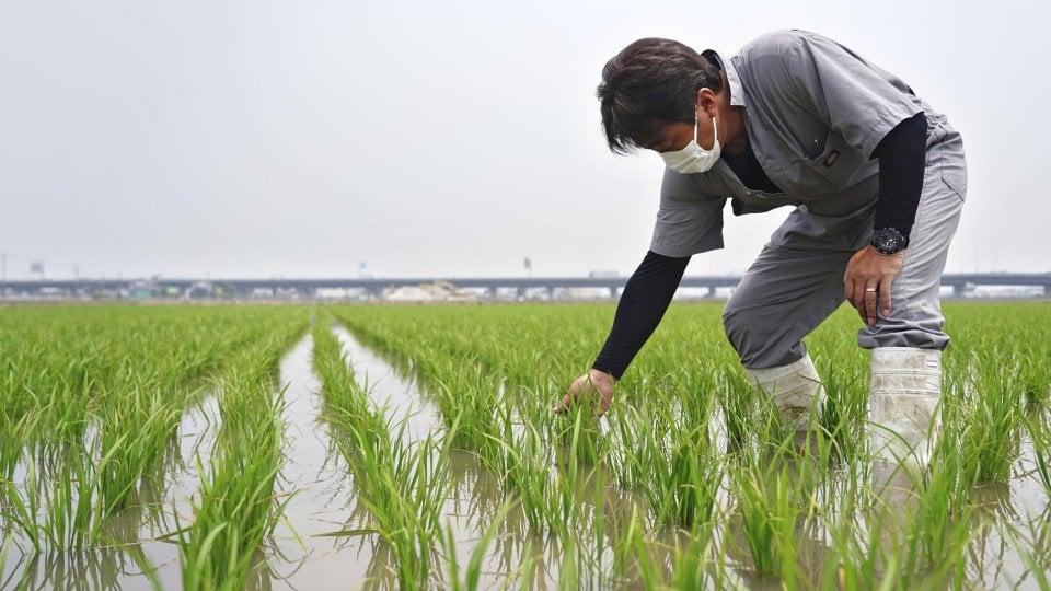 Japan faces uphill battle to ensure food security - Lonely Japan