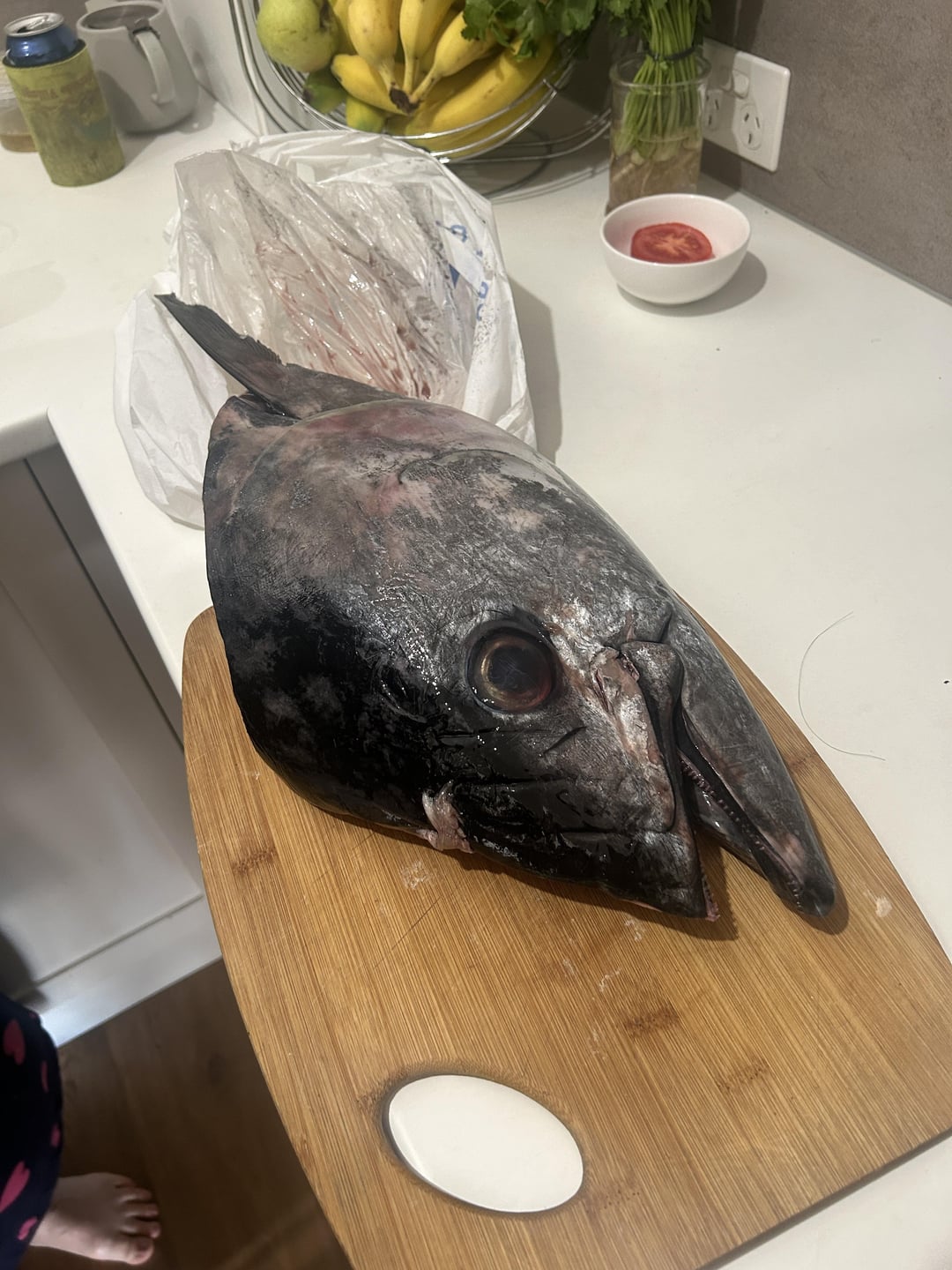 Tuna head sushi? - Lonely Japan