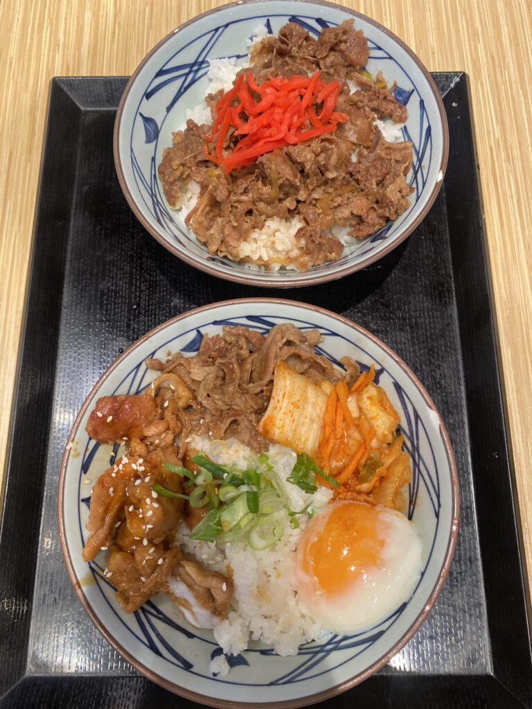 Beef Gyudon and Teriyaki Chicken & Beef Yakiniku - Lonely Japan